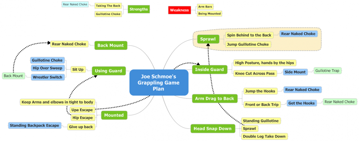 What is Your Game Plan? - David Avellan MMA Blog